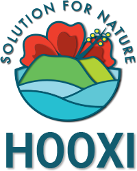 Hooxi | W-Foundation